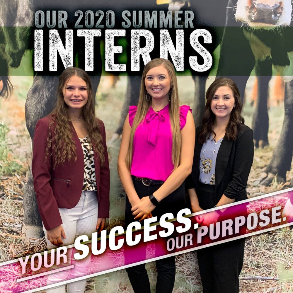 Summer Internships - AgTexas